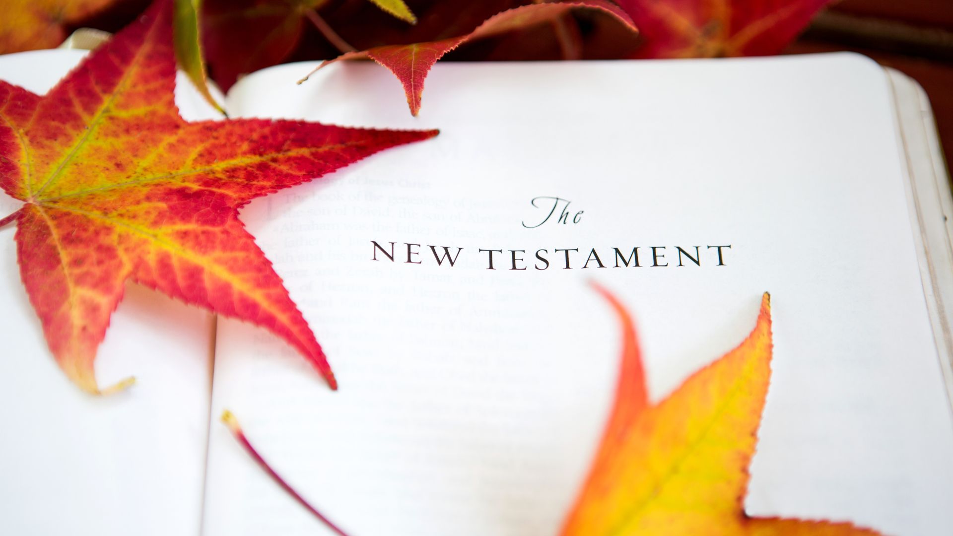 Survey of the New Testament